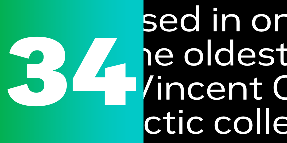 Trilogy Sans Wide Fonts | I Love Typography