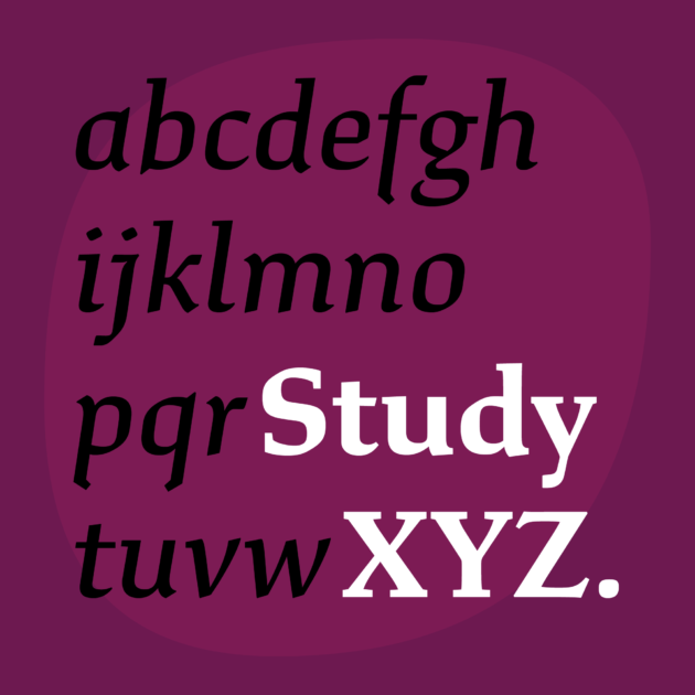 Buy Study fonts | I Love Typography