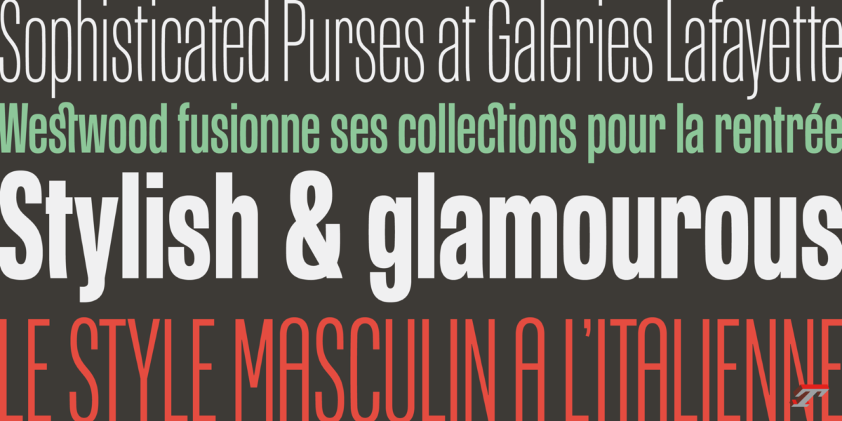 Arteria Std Compress Fonts | I Love Typography